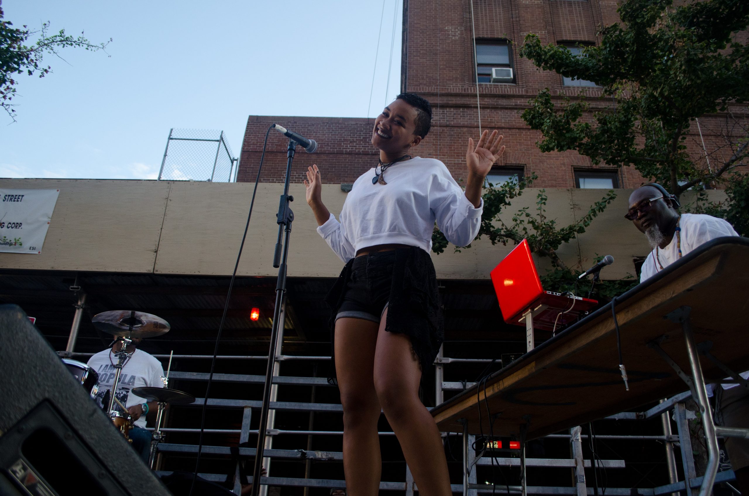 Harlem Week—‘Inspiration, Impact and Legacy’ - New York Amsterdam News